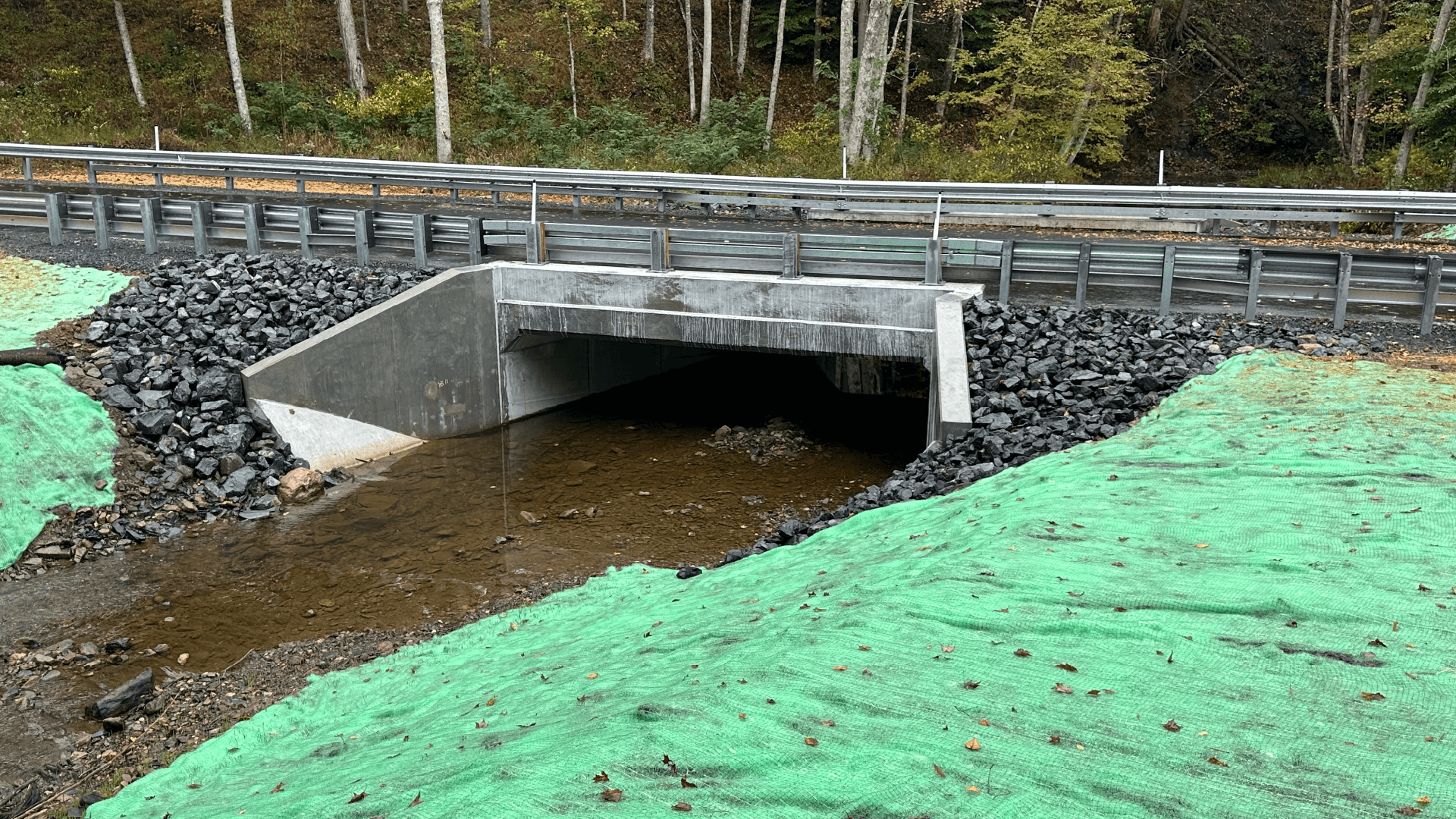 95Revive | American Engineers Group LLC